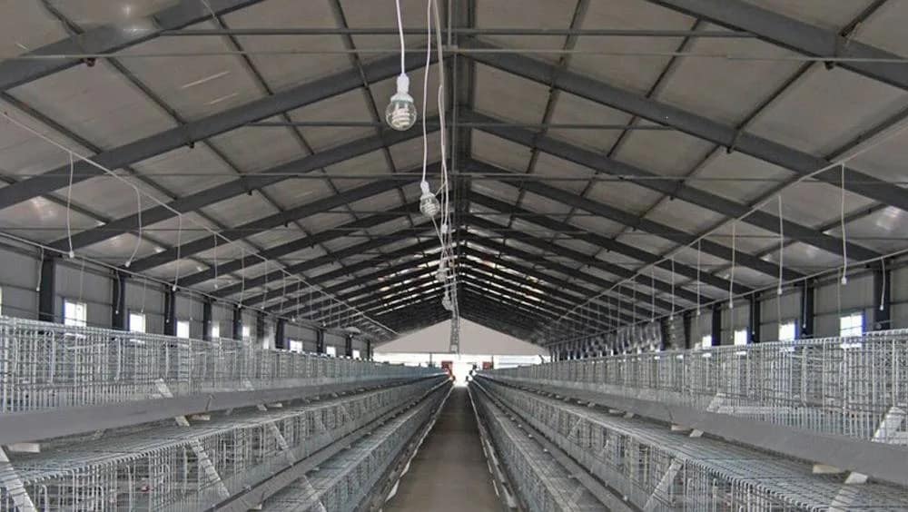 STEEL STRUCTURE CHICKEN HOUSE