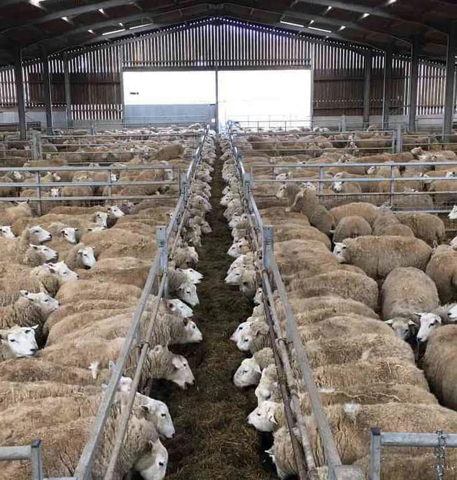 Home [juhesteelstructure.com]